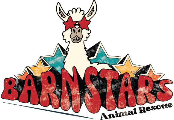 Barn Stars Animal Rescue - Sanctuary for Farm Animals in Snohomish ...