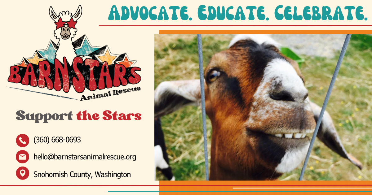 Support the Stars - Barn Stars Animal Rescue - Non-Profit Organization ...